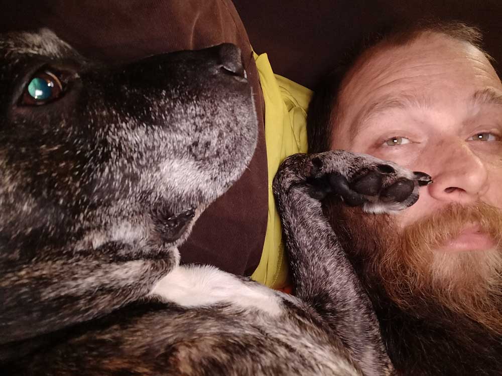 Finding a Local Foster for Remy