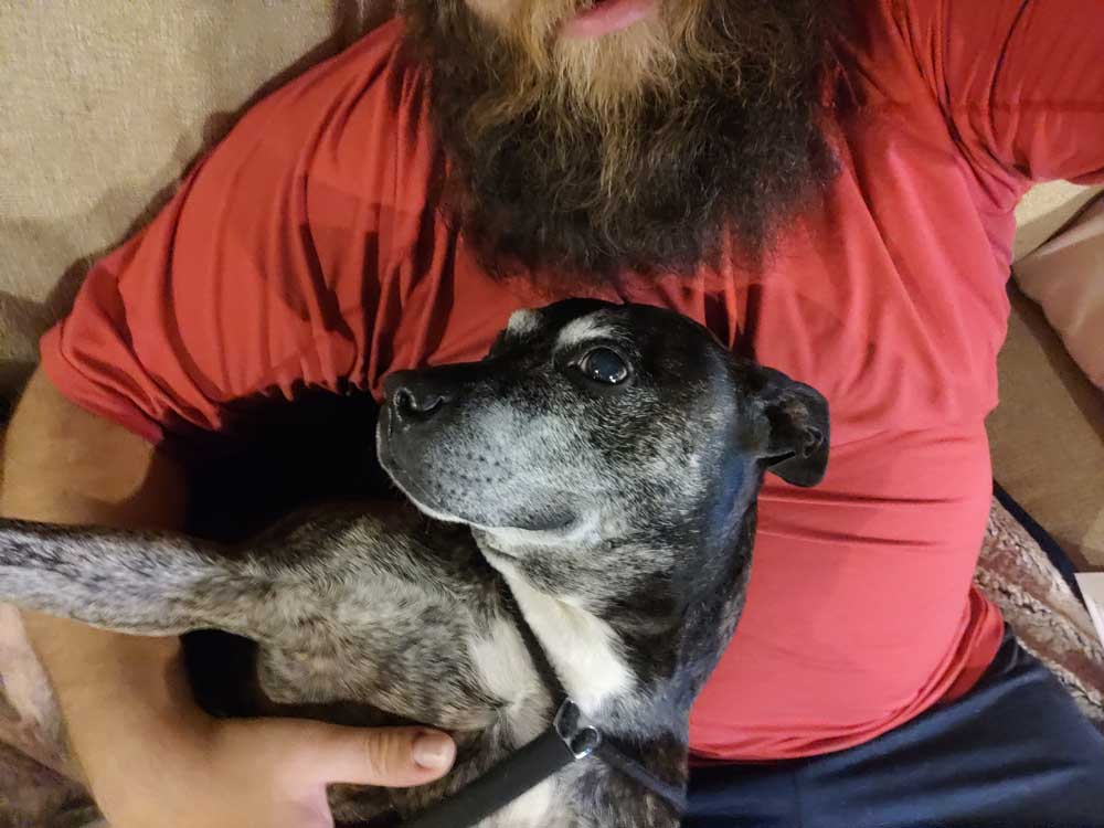 Finding a Local Foster for Remy