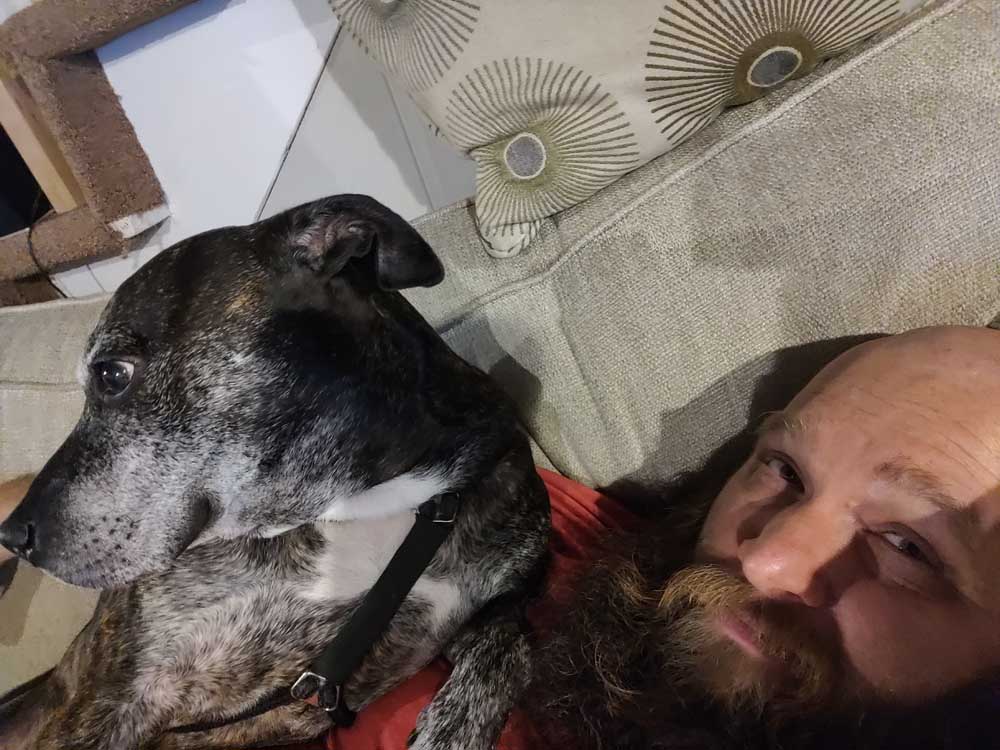 Finding a Local Foster for Remy