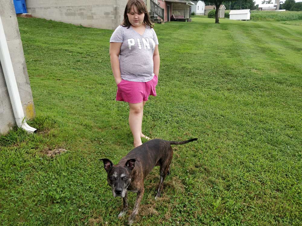 Remembering Remy – Our Family Dog